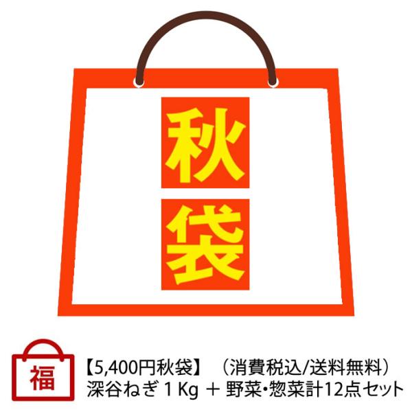 【発売日：2026年10月01日】品目：福袋内容：深谷ねぎ１Kgと野菜＆惣菜 計12点。※当日の仕入れの都合で、同じ野菜が重複して入る場合もございます。※新鮮野菜が充実している日には、惣菜を入れずにすべて野菜だけのセットになる場合もございま...