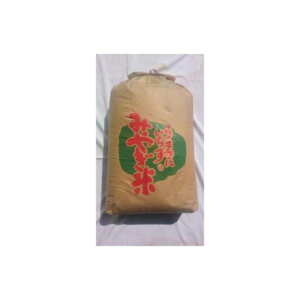 宮城県登米産　だて正夢　玄米　30kg(精米無料)★お米王国宮城県が満を持して生産したお米だて正夢です。宮城県の中で一番美味しいと言っていい米どころ、登米産適度なもっちり感からあふれ出るうま味！！当店　宮城米推奨登録店です。
