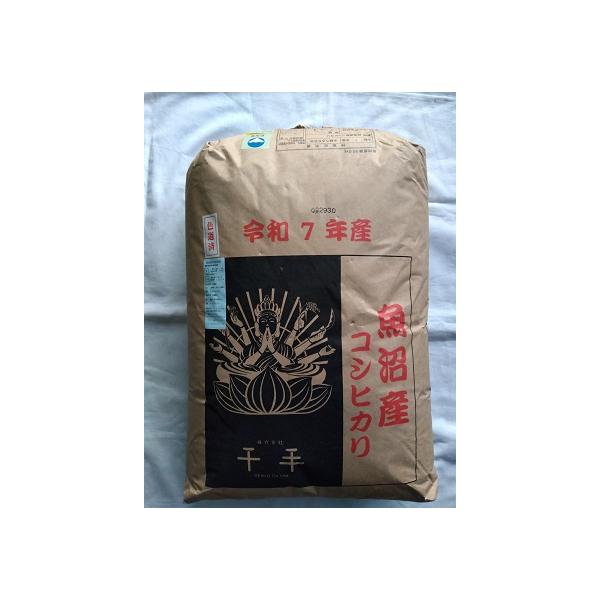 減農薬　特別栽培　魚沼産コシヒカリ30kgです。精米か玄米かお選びください。南魚沼のみなみ魚沼産コシヒカリを仕入れております。さらに美味しい十日町六日町限定仕入れさめても美味しい味は一年中抜群です。南魚沼は、美味しいお米に不可欠な寒暖の差も...