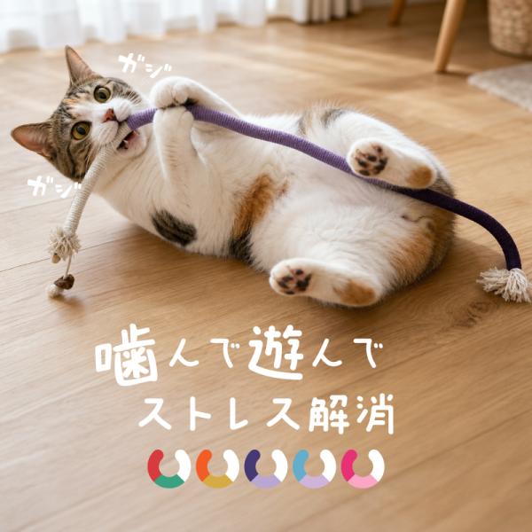 【発売日：2026年06月20日】猫 噛む おもちゃ 安全 猫じゃらし ロープ ひも 紐 噛みつき またたび 丈夫 頑丈 静音 ストレス解消 運動不足解消 耐久性 猫用おもちゃ 猫用品またたびの香りで猫がすぐ反応する猫用おもちゃです。  ロ...