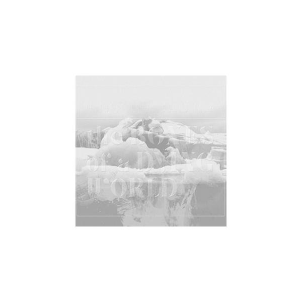 【発売日：2021年08月13日】種別:2LP 【輸入盤】 洋楽ハードロック/ヘヴィメタル 発売日:2021/08/13 登録日:2021/05/21 イフ・ジーズ・ツリーズ・クッド・トーク ボーンズ・オブ・ア・ダイイング・ワールド（カラー...