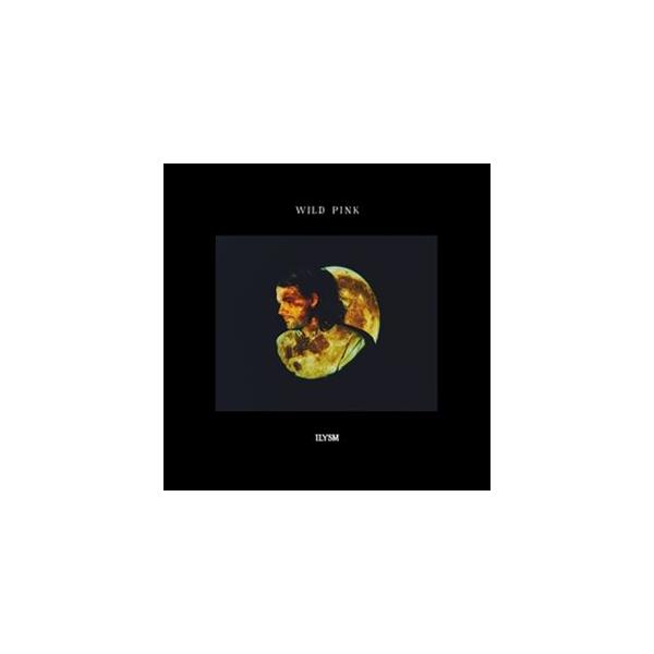 【発売日：2022年10月14日】種別:CD 【輸入盤】 洋楽ロック 発売日:2022/10/14 登録日:2022/10/07 ワイルド・ピンク アイリズム 内容:1. Cahooting The Multiverse2. Hell Is...