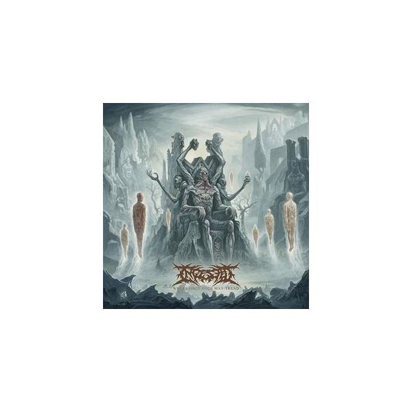 【発売日：2020年08月14日】種別:2LP 【輸入盤】 洋楽ハードロック/ヘヴィメタル 発売日:2020/08/14 登録日:2020/06/10 インジェステッド ウェア・オンリー・ゴッズ・メイ・トレッド（レッド・ヴァイナル）