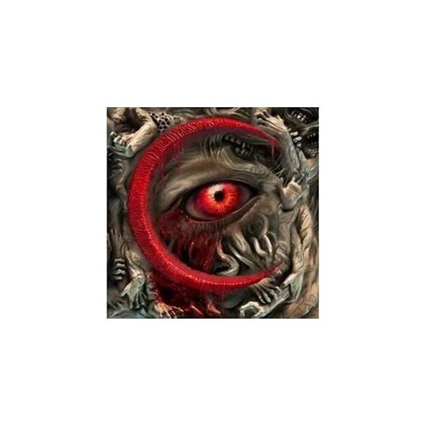 【発売日：2024年08月30日】種別:CD 【輸入盤】 洋楽ハードロック/ヘヴィメタル 発売日:2024/08/30 登録日:2024/07/19 オセアノ リヴィング・カオス 内容:1. Wasted Life2. Mass Produ...