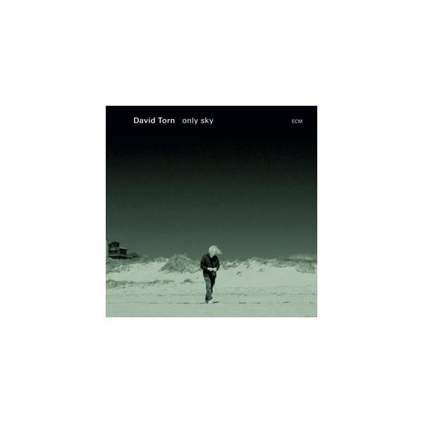 【発売日：2015年05月08日】種別:CD 【輸入盤】 ジャズ・フュージョン海外ジャズ 発売日:2015/05/08 登録日:2015/05/14 デヴィッド・トーン オンリー・スカイ 内容:1. At Least There Was N...