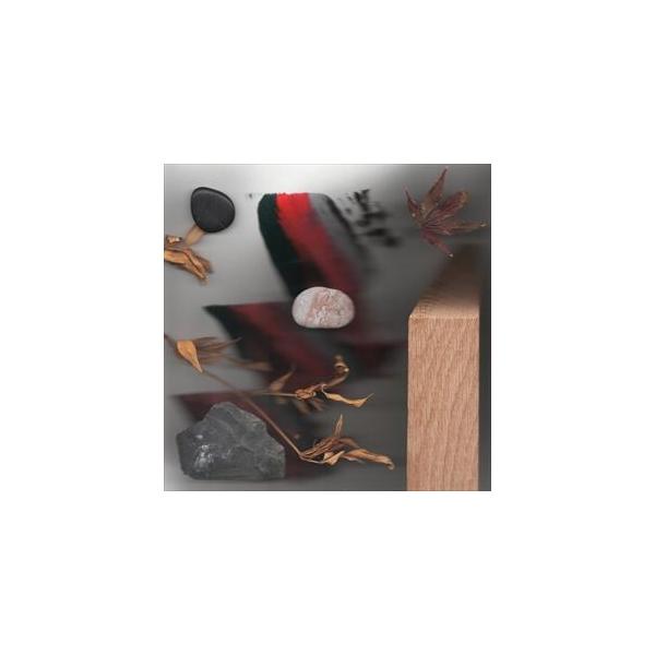 【発売日：2016年02月05日】種別:CD 【輸入盤】 洋楽クラブ/テクノ 発売日:2016/02/05 登録日:2016/01/21 ジェイミー・ウーン メイキング・タイム（ジュエルケース） 内容:1. Message2. Moveme...