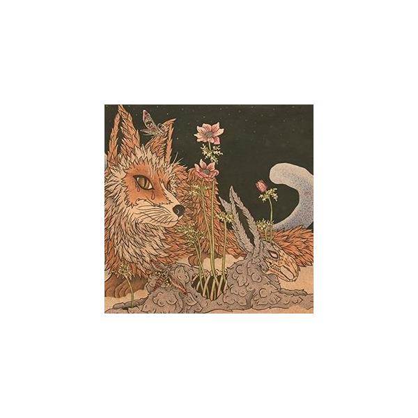 【発売日：2016年10月21日】種別:TAPE 【輸入盤】 洋楽ロック 発売日:2016/10/21 登録日:2018/05/07 プレーンズ・ミステイクン・フォー・スターズ プレイ 内容:1. Dementia Americana （E...