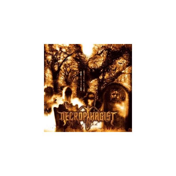 【発売日：2023年08月07日】種別:LP 【輸入盤】 洋楽ハードロック/ヘヴィメタル 発売日:2023/08/07 登録日:2023/08/08 ネクロファジスト エピタフ（カラー） 内容:［Side A］1. Stabwound2. ...