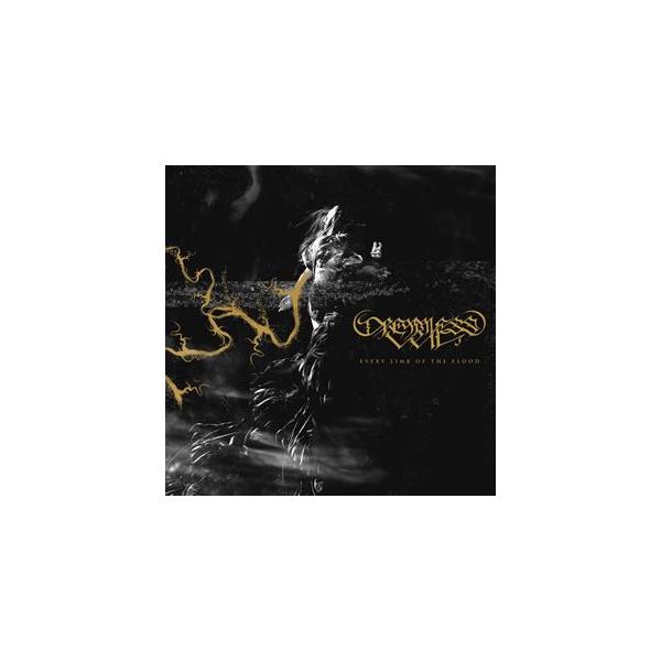 【発売日：2024年09月20日】種別:CD 【輸入盤】 洋楽ハードロック/ヘヴィメタル 発売日:2024/09/20 登録日:2024/08/07 ドリームレス・ヴェイル エヴリ・リム・オブ・ザ・フラッド 内容:1. Dim Golden...