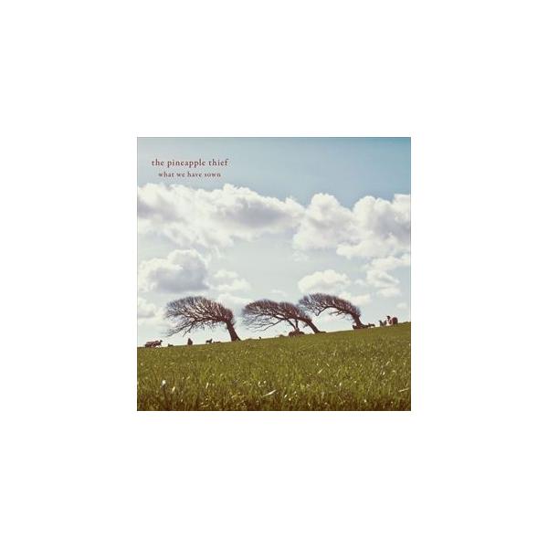 【発売日：2013年01月14日】種別:CD 【輸入盤】 洋楽ロック 発売日:2013/01/14 登録日:2016/05/13 パイナップル・シーフ ホワット・ウィ・ハヴ・ソウン 内容:1. All You Need to Know2. ...