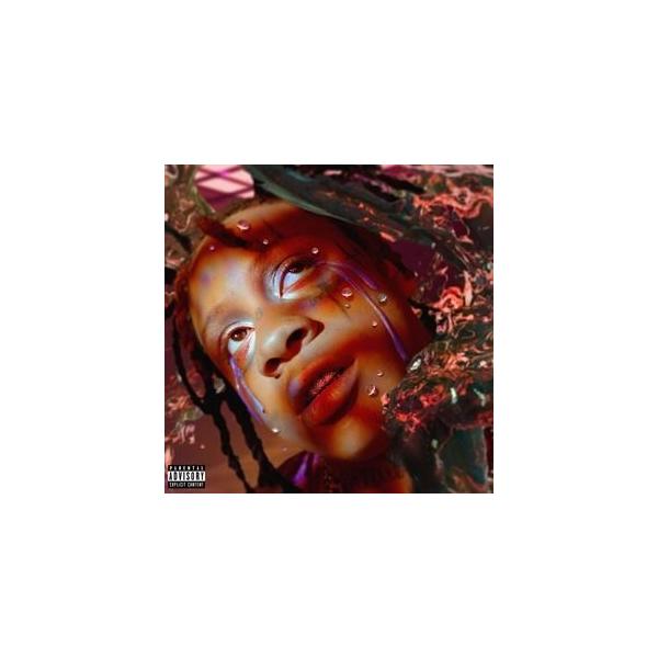 【発売日：2020年03月03日】種別:CD 【輸入盤】 洋楽ラップ/ヒップホップ 発売日:2020/03/03 登録日:2020/02/21 トリッピー・レッド ア・ラヴ・レター・トゥ・ユー・4 内容:1. Leray2. Who Nee...