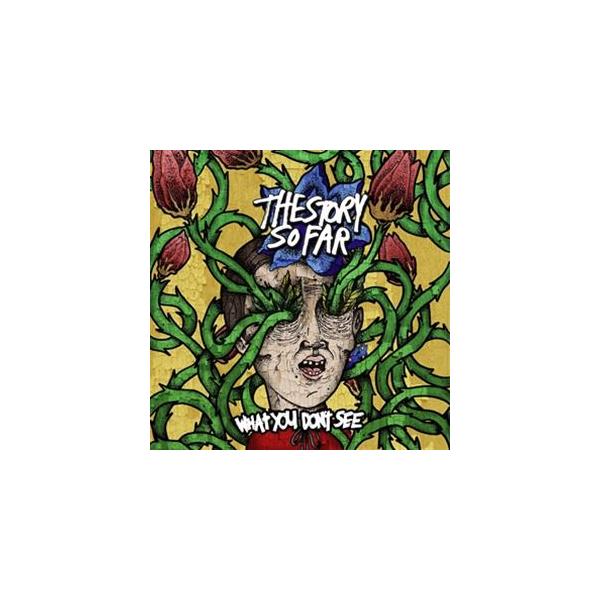 【発売日：2015年04月01日】種別:LP 【輸入盤】 洋楽ロック 発売日:2015/04/01 登録日:2023/06/29 ストーリー・ソー・ファー ワット・ユー・ドント・シー 内容:［Side A］1. Things I Can’t...