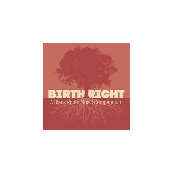 【発売日：2023年03月31日】種別:2CD 【輸入盤】 洋楽フォーク/カントリー 発売日:2023/03/31 登録日:2023/01/27 オムニバス バースライト：ア・ブラック・ルーツ・ミュージック・コンペンディアム 内容:［Dis...