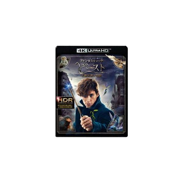 【発売日：2018年02月21日】種別:Ultra HD Blu-ray 洋画ファンタジー 発売日:2018/02/21 販売元:ワーナー・ブラザース 登録日:2018/02/01 エディ・レッドメイン デイビッド・イェーツ ハリー・ポッタ...