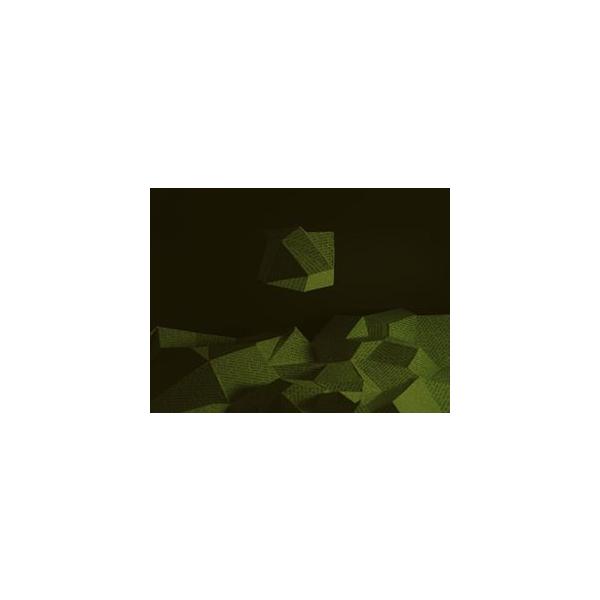 【発売日：2022年03月25日】種別:CD 【輸入盤】 洋楽ロック 発売日:2022/03/25 登録日:2022/12/23 エイブラハム デブリス・ドゥ・モーンド・ペリュドゥ 内容:1. Verminvisible2. Blood M...