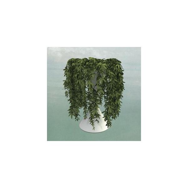 【発売日：2015年03月24日】種別:CD 【輸入盤】 洋楽ロック 発売日:2015/03/24 登録日:2015/02/05 エラーズ リース・オブ・ライフ 内容:1. Colossal Estates2. Lease of Life3...