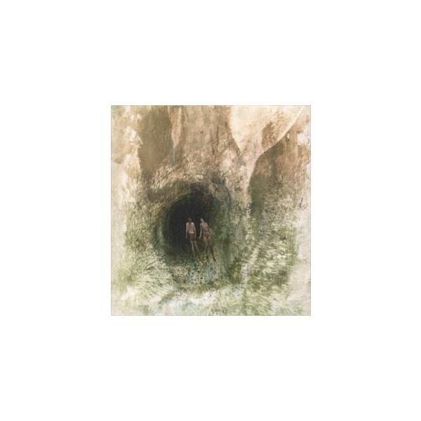 【発売日：2016年08月19日】種別:CD 【輸入盤】 サントラその他 発売日:2016/08/19 登録日:2016/07/27 ビーク＞ カップル・イン・ア・ホール・オリジナル・サウンドトラック 内容:1. Backwell2. Ba...