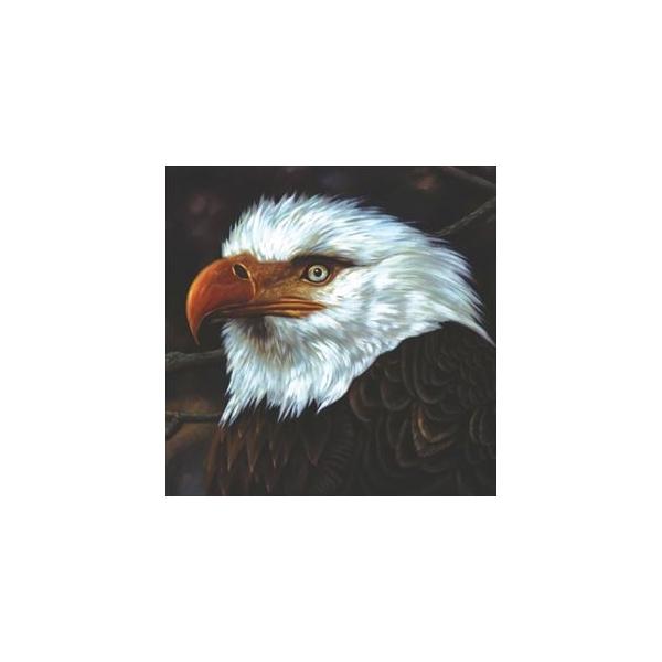 【発売日：2008年09月16日】種別:CD 【輸入盤】 洋楽ロック 発売日:2008/09/16 登録日:2012/02/08 モグワイ ホーク・イズ・ハウリング 内容:1. I’m Jim Morrison I’m dead2. Bat...