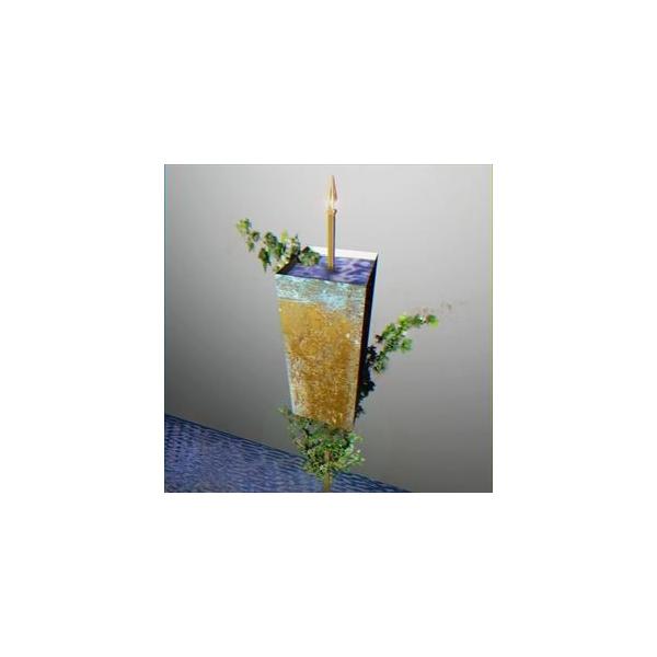 【発売日：2015年03月03日】種別:CD 【輸入盤】 洋楽ポップス 発売日:2015/03/03 登録日:2015/04/28 クラレンス・クラリティ ノー・ナウ 内容:1. Become Death2. Will To Believe...