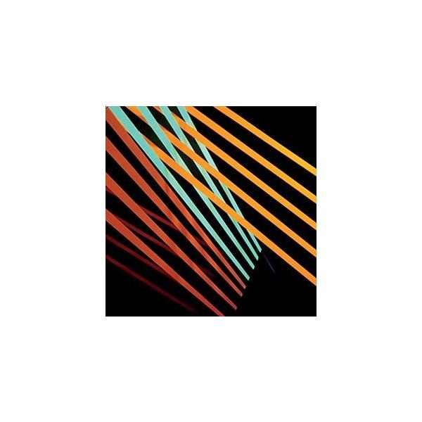 【発売日：2016年05月06日】種別:CD 【輸入盤】 洋楽クラブ/テクノ 発売日:2016/05/06 登録日:2016/03/16 シット・ロボット ホワット・フォローズ 内容:1. In Love2. What Follows3. ...