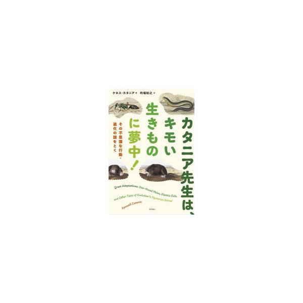 本 ISBN:9784759820812 ケネス・カタニア／著 的場知之／訳 出版社:化学同人 出版年月:2022年08月 サイズ:265P 19cm 理学 ≫ 生物学 [ 動物生態学 ] 原タイトル：Great Adaptations カ...