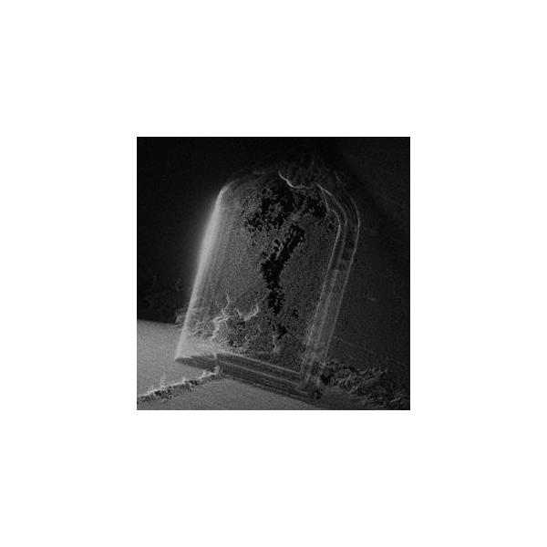 【発売日：2026年05月22日】種別:CD イージーリスニングヒーリング/ニューエイジ ※こちらの商品はインディーズ盤にて流通量が少なく、手配できない場合がございます 発売日:2026/05/22 販売元:ブリッジ 登録日:2026/02...