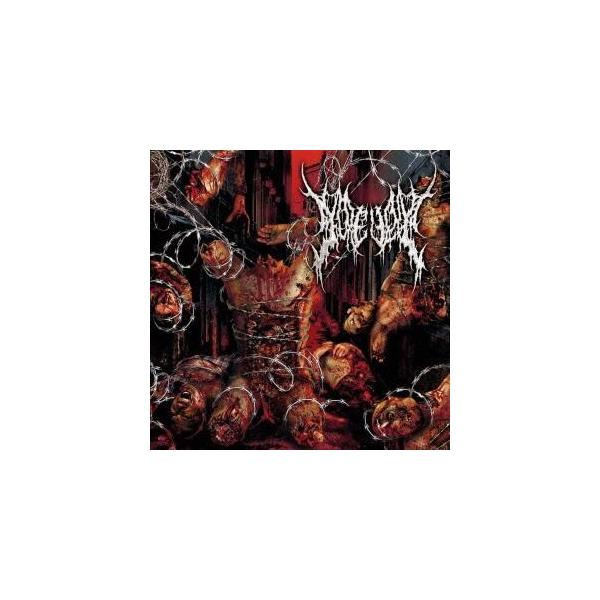 【発売日：2014年01月14日】種別:CD 邦楽ロック/ソウル ※こちらの商品はインディーズ盤にて流通量が少なく、手配できない場合がございます 発売日:2014/01/14 販売元:ラッツパック・レコード 登録日:2013/12/23 G...