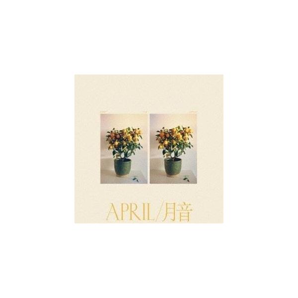 【発売日：2020年10月14日】種別:CD 洋楽ポップス ※こちらの商品はインディーズ盤にて流通量が少なく、手配できない場合がございます 発売日:2020/10/14 販売元:ウルトラ・ヴァイヴ 登録日:2020/08/28 EMMY T...