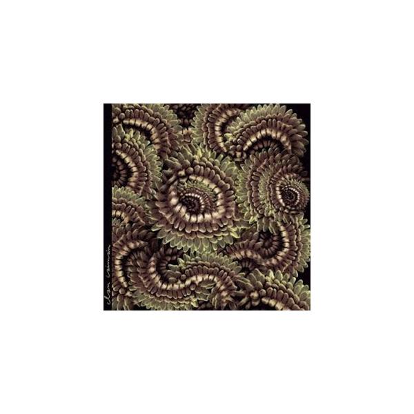 【発売日：2024年09月27日】種別:CD 洋楽ワールドミュージックその他 ※こちらの商品はインディーズ盤にて流通量が少なく、手配できない場合がございます 発売日:2024/09/27 販売元:ディスクユニオン 登録日:2024/08/1...