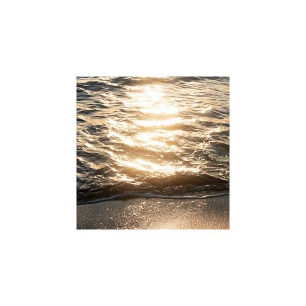 【発売日：2024年03月06日】種別:CD 邦楽J-POP ※こちらの商品はインディーズ盤にて流通量が少なく、手配できない場合がございます 発売日:2024/03/06 販売元:PCI MUSIC 登録日:2024/01/09 ［.que...