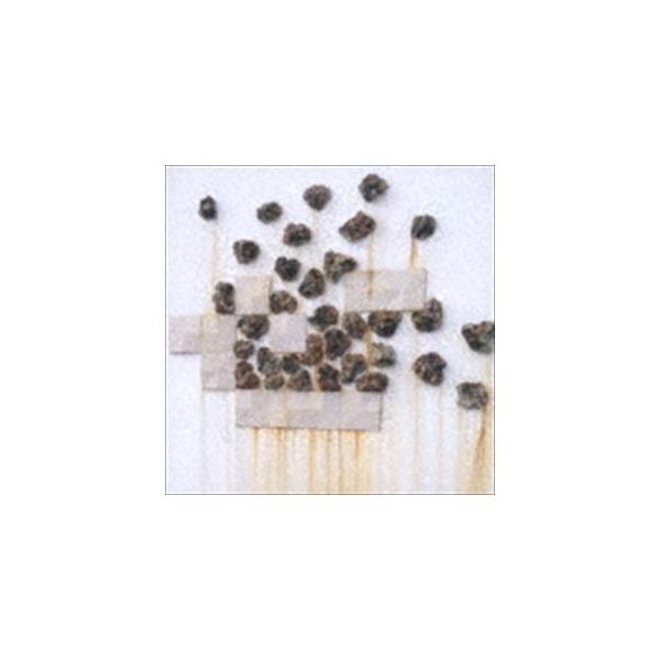 【発売日：2019年05月15日】種別:CD 洋楽ロック ※こちらの商品はインディーズ盤にて流通量が少なく、手配できない場合がございます 発売日:2019/05/15 販売元:ウルトラ・ヴァイヴ 登録日:2019/03/27 クエーカー・ペ...