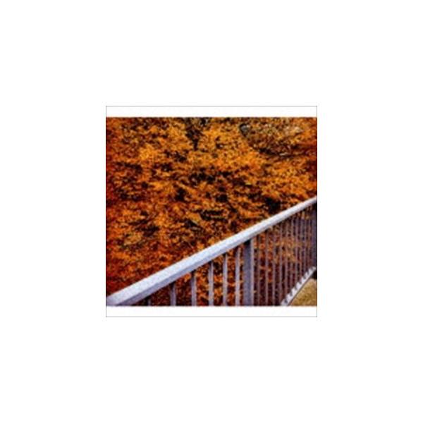 【発売日：2017年08月19日】種別:CD 洋楽クラブ/テクノ ※こちらの商品はインディーズ盤にて流通量が少なく、手配できない場合がございます 発売日:2017/08/19 販売元:ウルトラ・ヴァイヴ 登録日:2017/09/08 コビー...