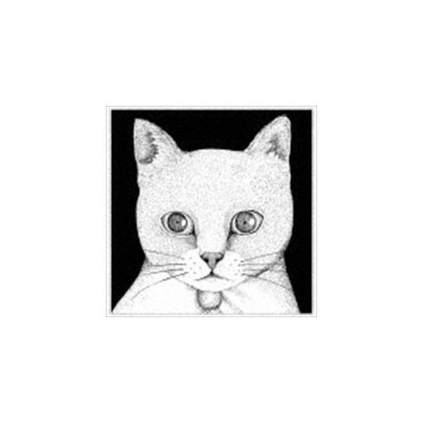 【発売日：2018年12月05日】種別:CD 邦楽J-POP ※こちらの商品はインディーズ盤にて流通量が少なく、手配できない場合がございます 発売日:2018/12/05 販売元:ピーヴァイン 登録日:2018/10/04 テンテンコ テン...