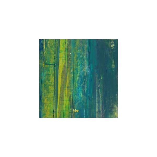 【発売日：2013年12月18日】種別:CD 邦楽クラブ/テクノ ※こちらの商品はインディーズ盤にて流通量が少なく、手配できない場合がございます 発売日:2013/12/18 販売元:ウルトラ・ヴァイヴ 登録日:2013/11/01 sok...