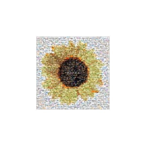 【発売日：2018年10月03日】種別:CD 邦楽J-POP 発売日:2018/10/03 販売元:エル・ディー・アンド・ケイ 登録日:2018/08/15 SAME × LUCCI × EVERLONG サメ ルッチ エバーロング フラク...