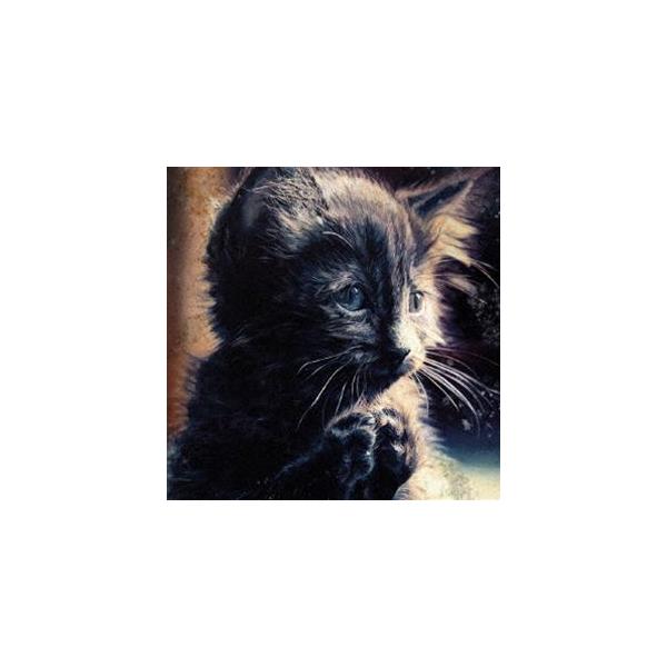 【発売日：2026年03月20日】種別:CD 洋楽クラブ/テクノ ※こちらの商品はインディーズ盤にて流通量が少なく、手配できない場合がございます 発売日:2026/03/20 販売元:ラッツパック・レコード 登録日:2026/02/20 P...