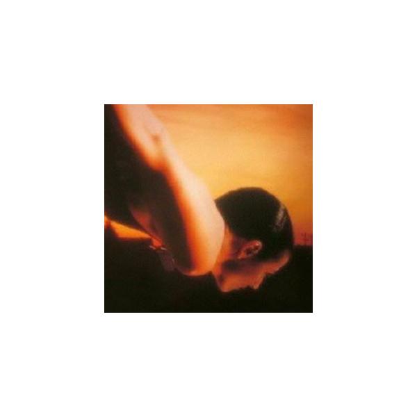 【発売日：2021年11月13日】種別:CD 洋楽ロック ※こちらの商品はインディーズ盤にて流通量が少なく、手配できない場合がございます 発売日:2021/11/13 販売元:ウルトラ・ヴァイヴ 登録日:2021/11/09 PORCUPI...