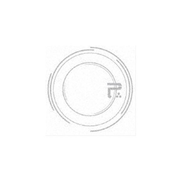 【発売日：2014年01月22日】種別:CD 洋楽ハードロック/ヘヴィメタル ※こちらの商品はインディーズ盤にて流通量が少なく、手配できない場合がございます 発売日:2014/01/22 販売元:ビーエムドットスリー 登録日:2013/12...