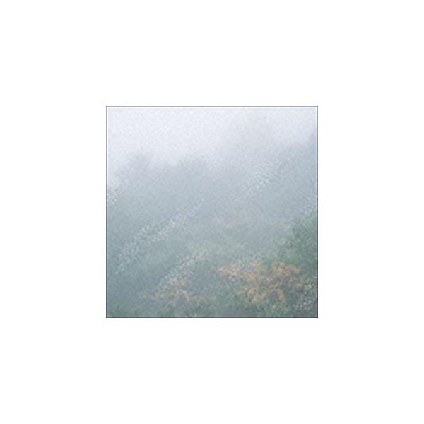 【発売日：2015年01月14日】種別:CD イージーリスニングヒーリング/ニューエイジ ※こちらの商品はインディーズ盤にて流通量が少なく、手配できない場合がございます 発売日:2015/01/14 販売元:アート・ユニオン 登録日:201...