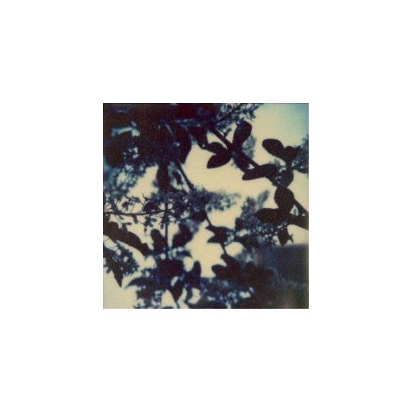 【発売日：2019年06月12日】種別:CD イージーリスニングヒーリング/ニューエイジ ※こちらの商品はインディーズ盤にて流通量が少なく、手配できない場合がございます 発売日:2019/06/12 販売元:ブリッジ 登録日:2019/06...