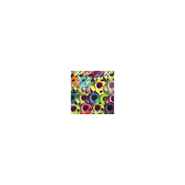 【発売日：2009年11月11日】種別:CD 邦楽ロック/ソウル 発売日:2009/11/11 販売元:スペースシャワーネットワーク 登録日:2009/09/07 The New House ニューハウス ウォントアローンバットヘルプミー ...