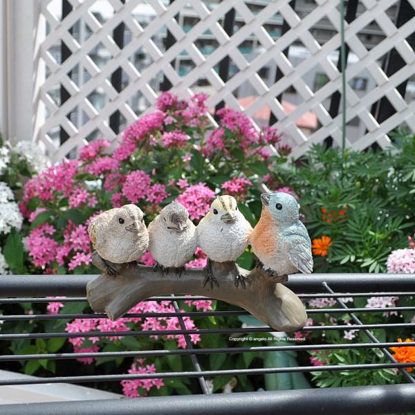 [ リビング エクステリア室内  ガーデン雑貨 屋外 ディスプレイ 店舗 オブジェ かわいい 飾り 飾り物 グッズ リアル アイテム 癒し 愛くるしい 小物 装飾 園芸 ガーデンマスコット おうち時間 ステイホーム 自粛生活 巣ごもり DI...