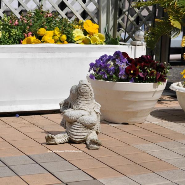 [ リビング エクステリア 室内 ガーデン雑貨 屋外 ディスプレイ 店舗 オブジェ かわいい 飾り 飾り物 グッズ リアル アイテム 癒し 愛くるしい 小物 装飾 園芸 ガーデンマスコット おうち時間 ステイホーム 自粛生活 巣ごもり DI...