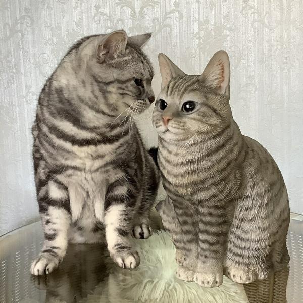 まるで本物！愛らしく、表情がとても豊かで、繊細な動きまでこだわっております。動物の本来持つ自然な動きを製品に込めて、ひとつひとつ製造されております。同名や近い製品名でありながら、ほんの少しの動き、色、サイズの違いがあるものございますので予め...