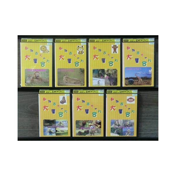 ★レンタル落ちの中古品です。★ケースなしでディスクとジャケットのみでの発送となります。※画像でケースが写っている場合も、発送時にケースは外します。★画像の多少の乱れや、再生に支障のない傷に関してましてはご了承下さい。★ジャケットにヤケや折れ...