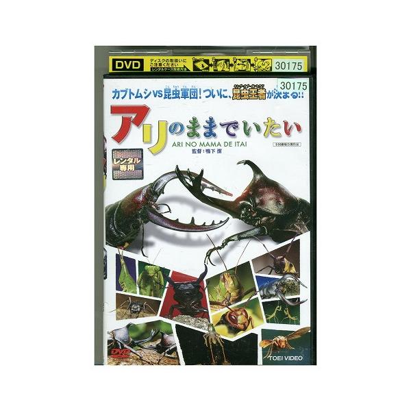 ★レンタル落ちの中古品です。★ケースなしでディスクとジャケットのみでの発送となります。※画像でケースが写っている場合も、発送時にケースは外します。★画像の多少の乱れや、再生に支障のない傷に関してましてはご了承下さい。★ジャケットにヤケや折れ...