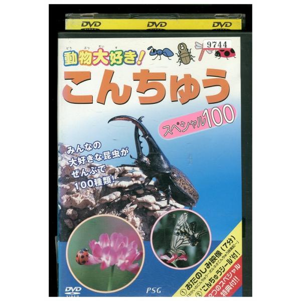 ★レンタル落ちの中古品です。★ケースなしでディスクとジャケットのみでの発送となります。※画像でケースが写っている場合も、発送時にケースは外します。★画像の多少の乱れや、再生に支障のない傷に関してましてはご了承下さい。★ジャケットにヤケや折れ...