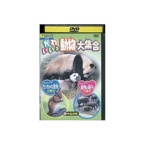 ★レンタル落ちの中古品です。★ケースなしでディスクとジャケットのみでの発送となります。※画像でケースが写っている場合も、発送時にケースは外します。★画像の多少の乱れや、再生に支障のない傷に関してましてはご了承下さい。★ジャケットにヤケや折れ...