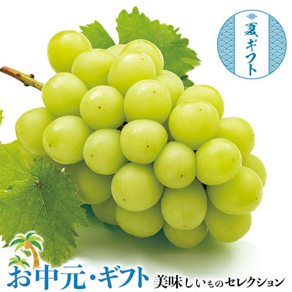■商品名： お中元 夏 ギフト プレゼント 山梨県又は長野県産 シャインマスカット ｜約380g×1房｜ お取り寄せ グルメ 食品 贈物 御中元  ■お届けの目安： お中元【＜出荷期間＞7月上旬〜8月初旬】 ※指定日不可・時間指定不可 ※指...