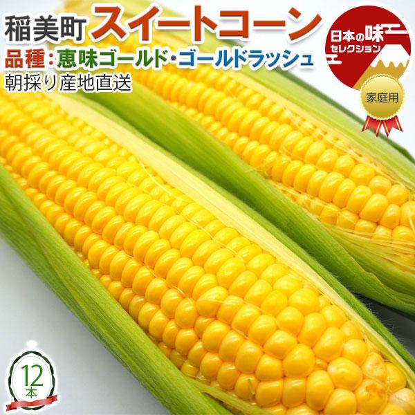 ■商品名： お中元 朝採り スイートコーン 12本 兵庫県・稲美町産 とうもろこし  ゴールドラッシュ /  恵味ゴールド 加古郡稲美町から産地直送 高級コーン 早めの 夏ギフト 父の日 野菜 予約品 (6月中旬〜6月下旬出荷) ■お届けの...